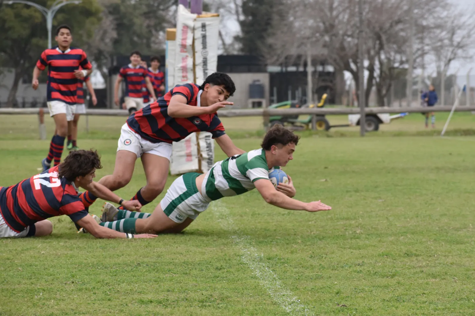 Los resultados de las M’s