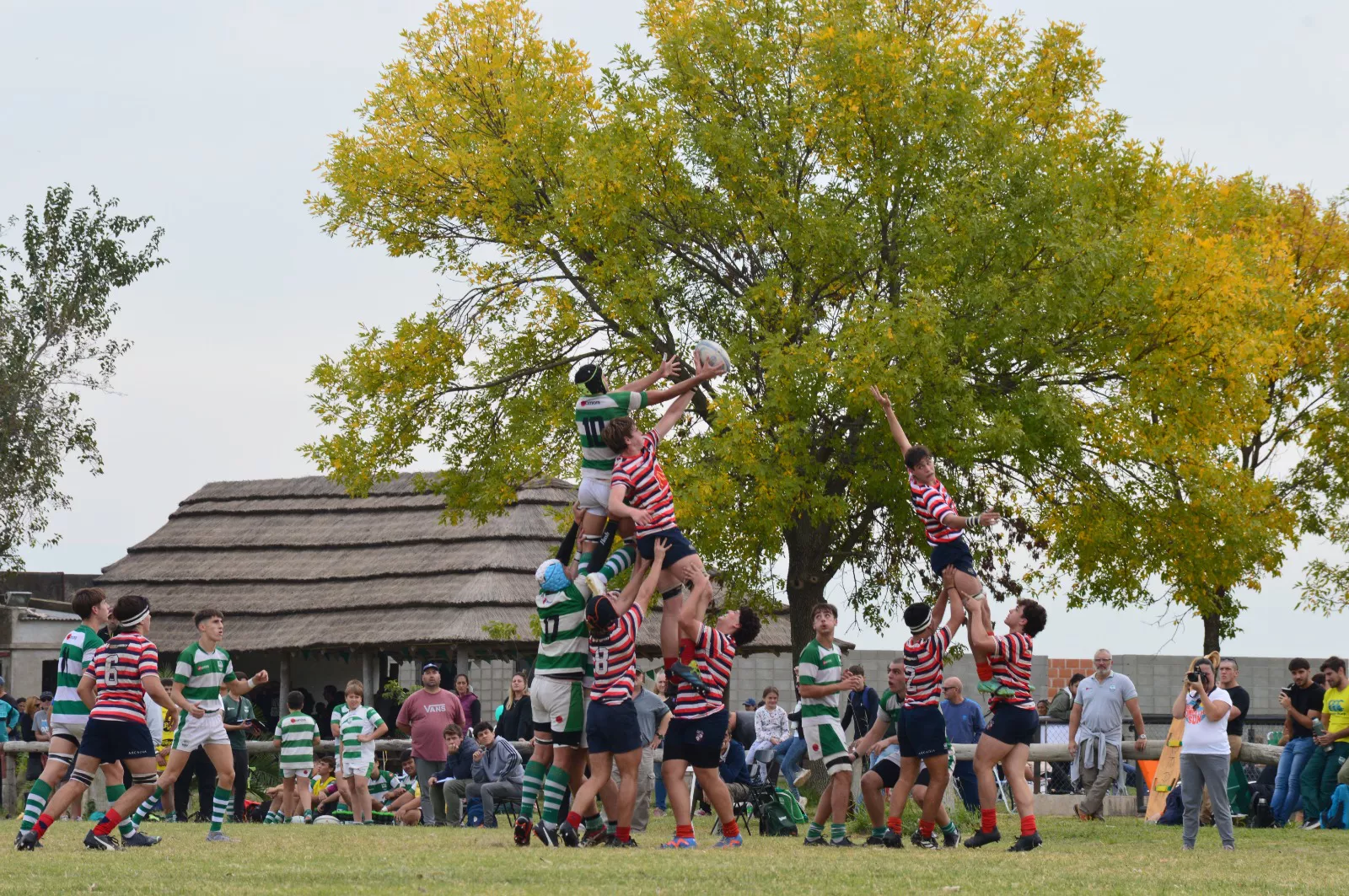 Los resultados de las M's